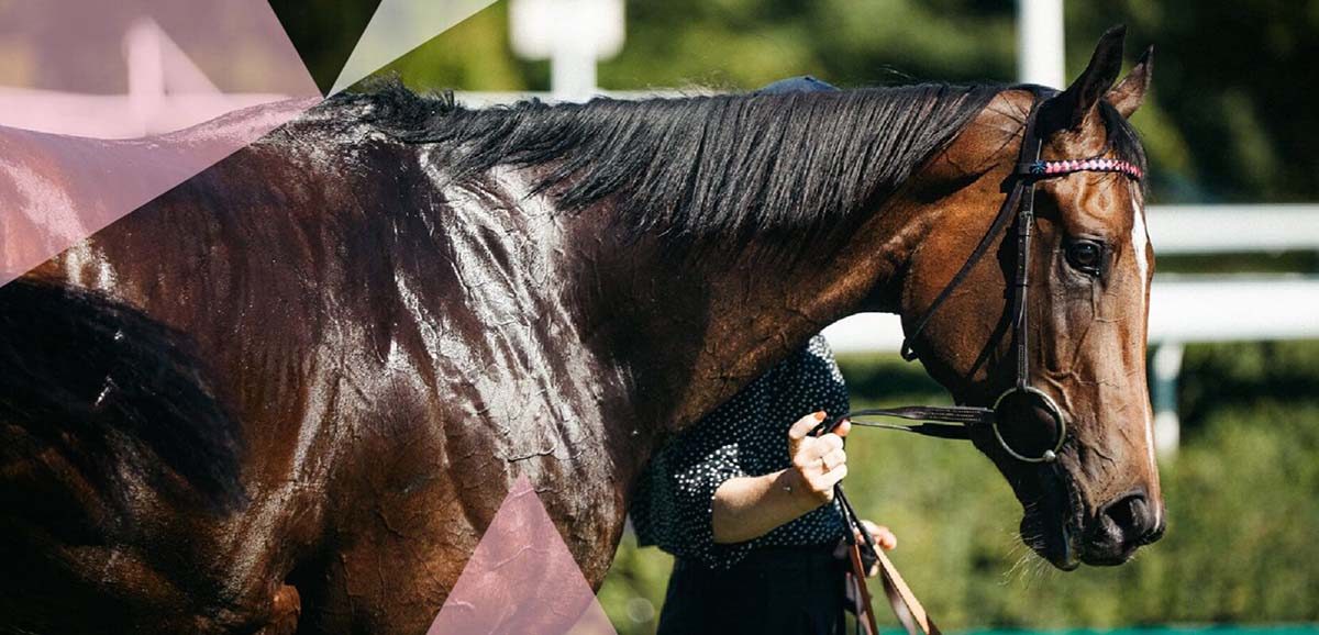 Key Advisors - Bermuda Racing